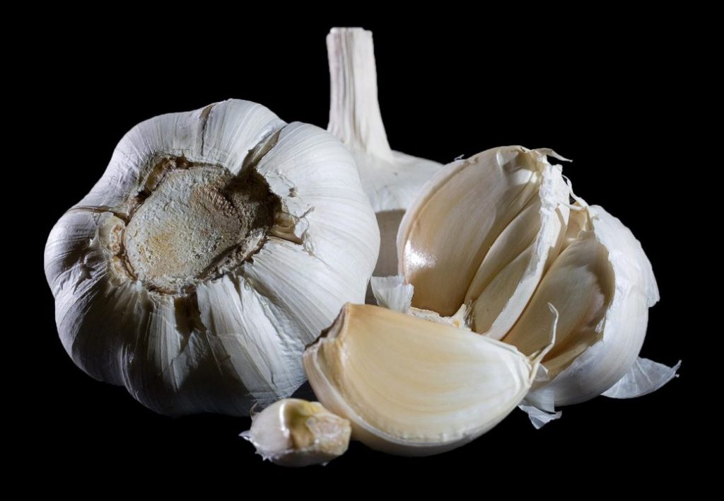Garlic — An Antibiotic You Can Grow In Your Garden | Self-Reliance