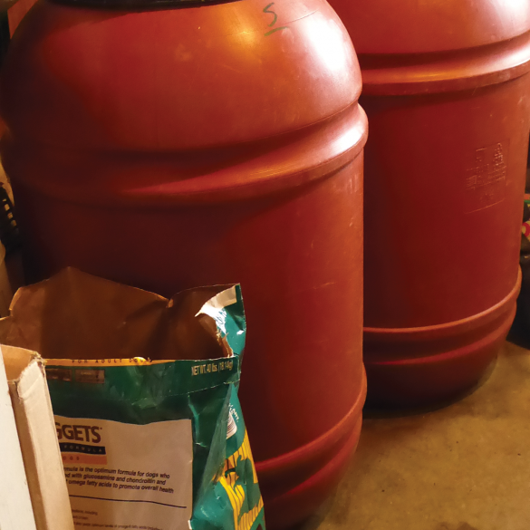 Gallon jugs of stored water